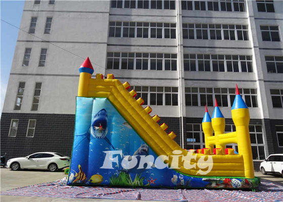 Customized PVC Tarpaulin Inflatable Dry Slide for Climbing EN14960