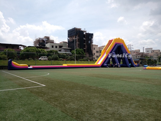 Plato 0.55mm Pvc Tarpaulin 56*14.5*13.5m Giant Inflatable Hippo Slide For Adults