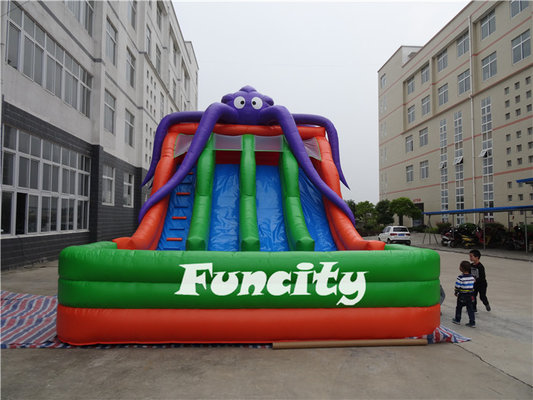 Octopus Inflatable Slide For Kids Slipping In The Long Slide