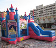 PVC Tarpaulin Inflatable Combo Bouncers