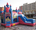 PVC Tarpaulin Inflatable Combo Bouncers