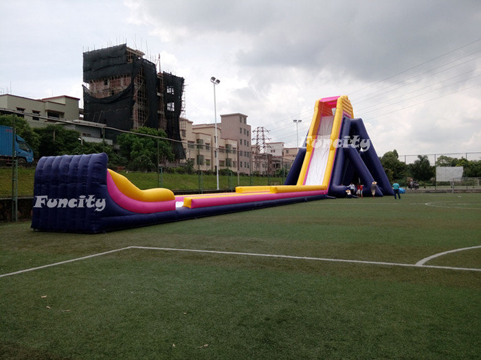 Plato 0.55mm Pvc Tarpaulin 56*14.5*13.5m Giant Inflatable Hippo Slide For Adults