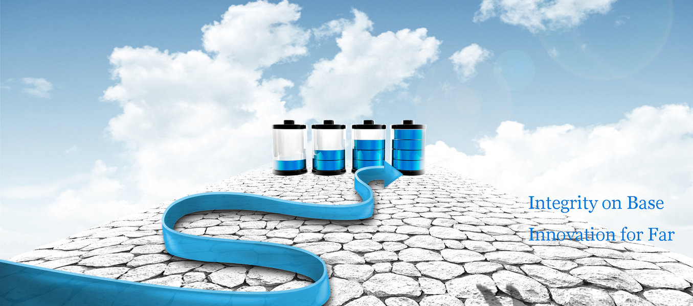 China best Li-polymer batteries on sales