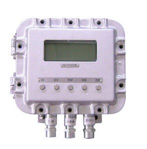 China Explosion-Proof Weight Indicator supplier