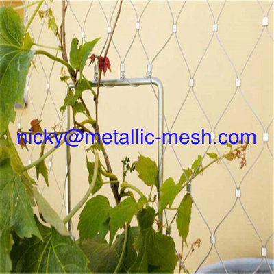 Plant Climbing Prop Stainless Steel Cable Webnet / Green Wall