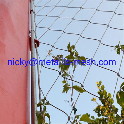 Plant Climbing Prop Stainless Steel Cable Webnet / Green Wall