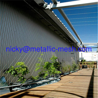 Plant Climbing Prop Stainless Steel Cable Webnet / Green Wall