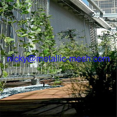Class A Inox Flexible Cable Mesh For Climbing Plant