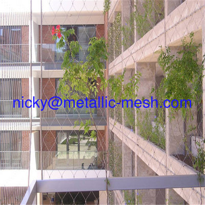 Class A Inox Flexible Cable Mesh For Climbing Plant