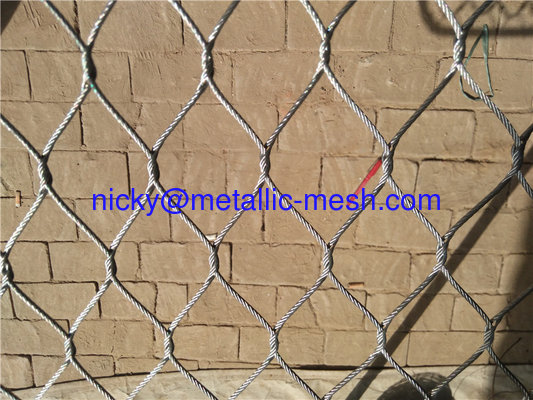 Specializing In Stainless Steel Aviary Netting