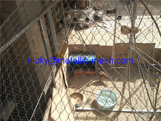 Specializing In Stainless Steel Aviary Netting