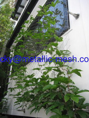 AISI316 material x-tend wire rope mesh for architecture plant climbing