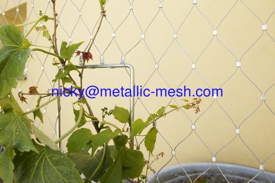 AISI316 material x-tend wire rope mesh for architecture plant climbing