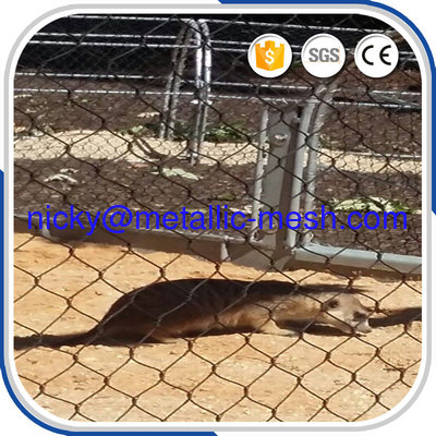 High Quality 1.2 to 3.2 mm Thickness Stainless Steel Wire Rope Mesh Net As Zoological Enclosures
