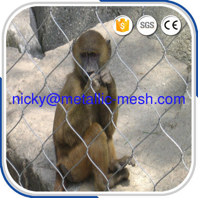 High Quality 1.2 to 3.2 mm Thickness Stainless Steel Wire Rope Mesh Net As Zoological Enclosures