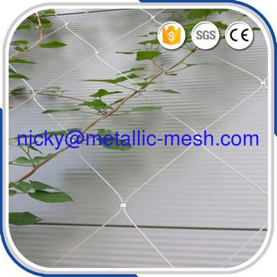 High tech AISI316 material 2.0mm thickness stainless steel rope mesh support for climbing plants