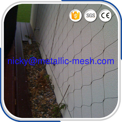 High tech AISI316 material 2.0mm thickness stainless steel rope mesh support for climbing plants