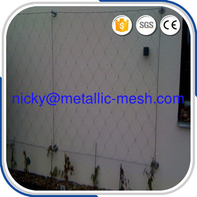 High tech AISI316 material 2.0mm thickness stainless steel rope mesh support for climbing plants