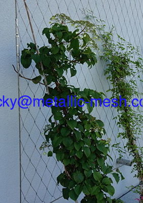 High tech AISI316 material 2.0mm thickness stainless steel rope mesh support for climbing plants