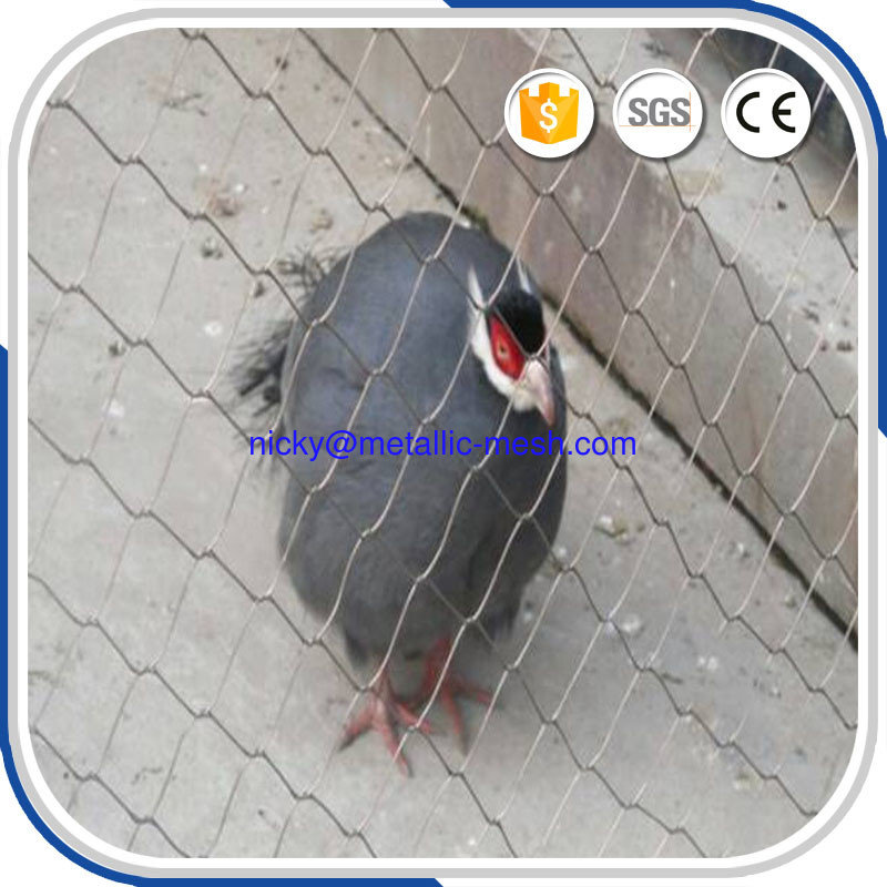Small bird 1.2 mm with 30 mm mesh eye size stainless steel wire rope aviary netting
