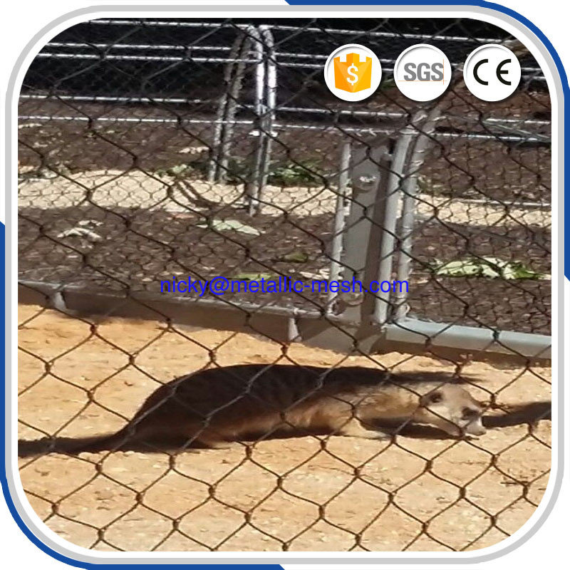 High Quality 1.2 to 3.2 mm Thickness Stainless Steel Wire Rope Mesh Net As Zoological Enclosures