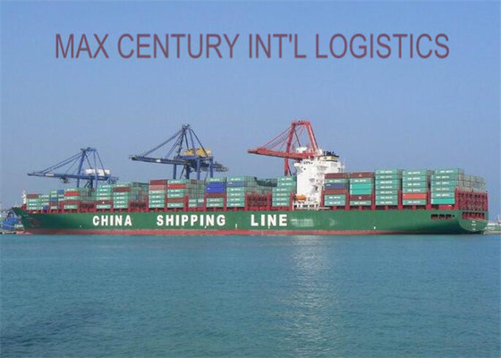Professional China To Chile Sea Freight Services International Cargo Shipping