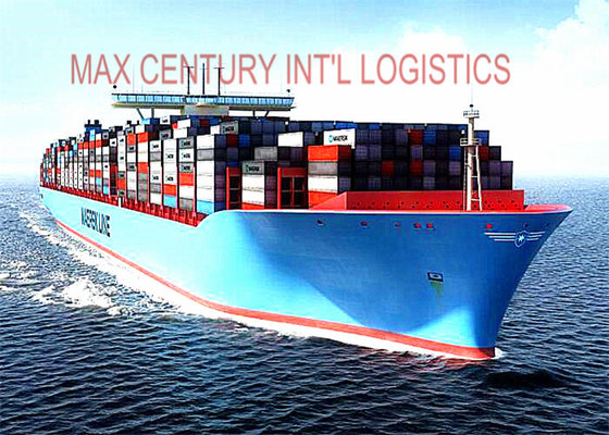 Professional quick from China to Germany ocean sea freight shipping services  FCL LCL
