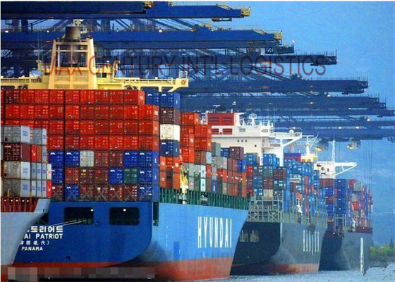 Full Container Africa Freight Services Shipping From China To South Africa