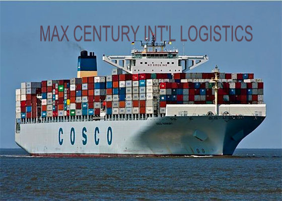 Middle East Cargo Services Fixed Space Sea Freight From China To Muscat Sohar Salalah Oman