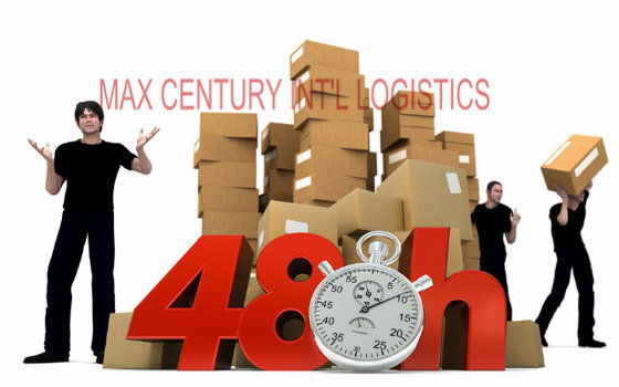 International Logistics Door To Door Freight Services China To Singapore