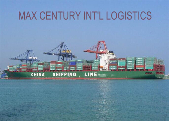 Professional China To Chile Sea Freight Services International Cargo Shipping