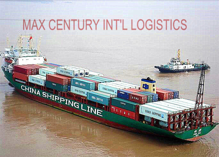 Shenzhen Forwarder International Shipping Rates Ocean Freight  From China To Bulgaria