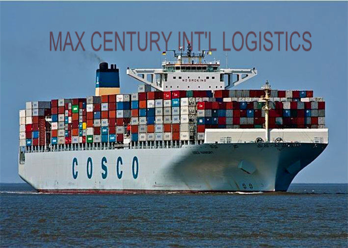 Middle East Cargo Services Fixed Space Sea Freight From China To Muscat Sohar Salalah Oman