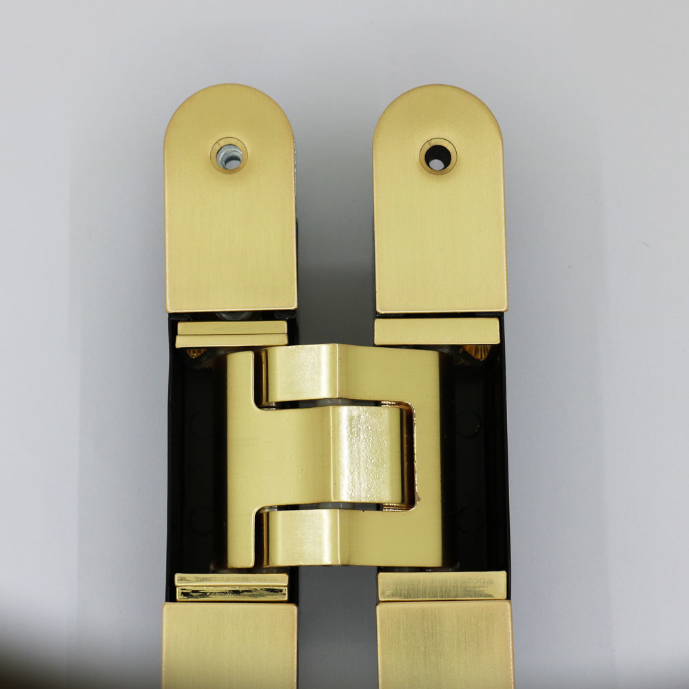 180 Degree brass Door Hinge