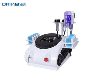 Multifunction Cryolipolysis Slimming Machine / RF Cavitation Machine CE Certificate supplier