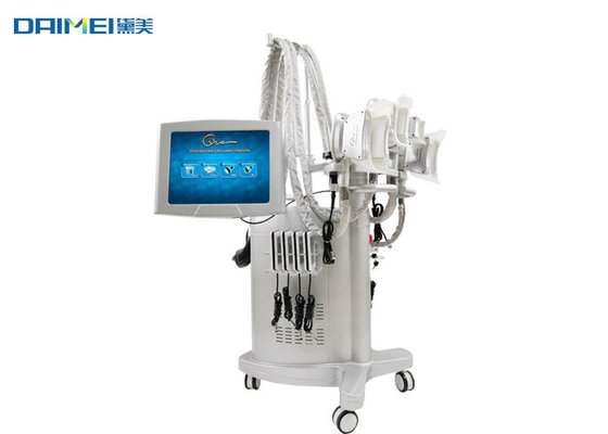 2020 New  Cryolipolysis Slimming Machine Cryolipolysis Device Cryo Lipo Fat Freeze supplier