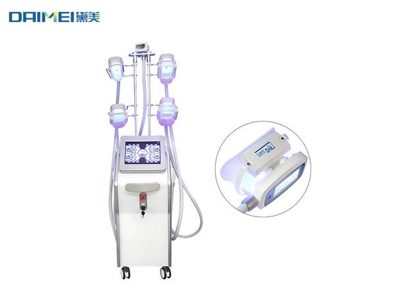 4 Handles Cryo Cryolipolysis Therapy Cool Tech Fat Freezing Machine supplier