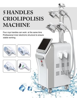 Vertical 4 Cryo Handles Work At The Same Time Cryolipolysis Device Body Sculpt Slimming supplier