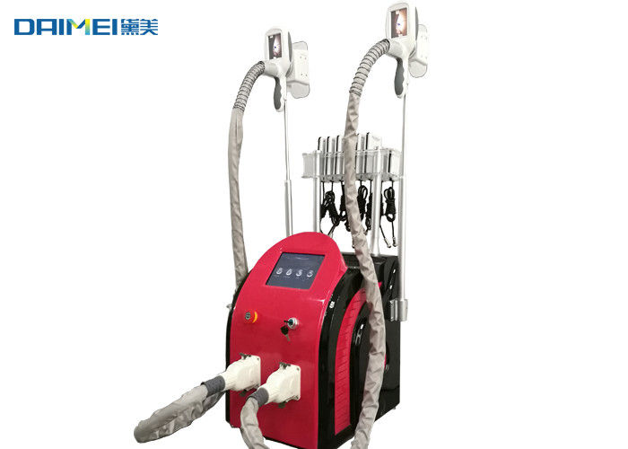 Multifunctional Cryolipolysis Slimming Machine / Belly Fat Removal Machine supplier