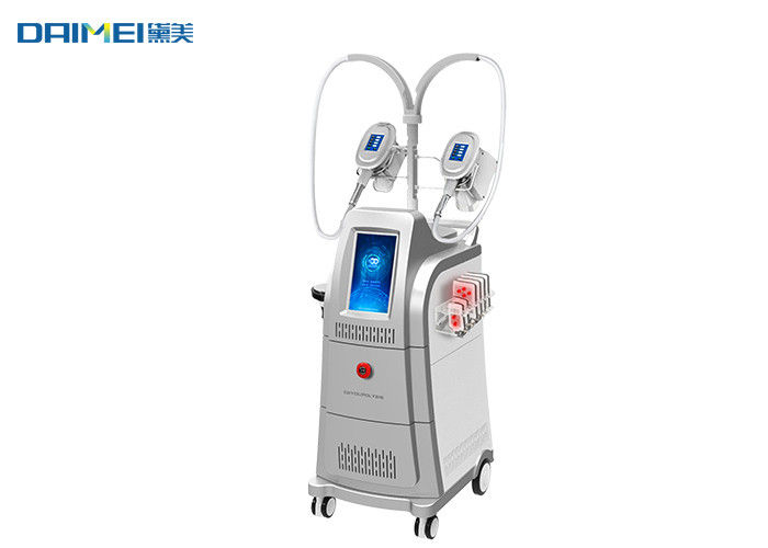 650nm Wavelength Cryo Lipo Machine , Radio Frequency Skin Tightening Machine supplier