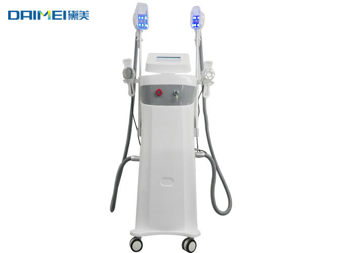 Ultrasound Fat Reduction Machine Cryo Fat Freeze Slimming System RF Skin Tighten supplier