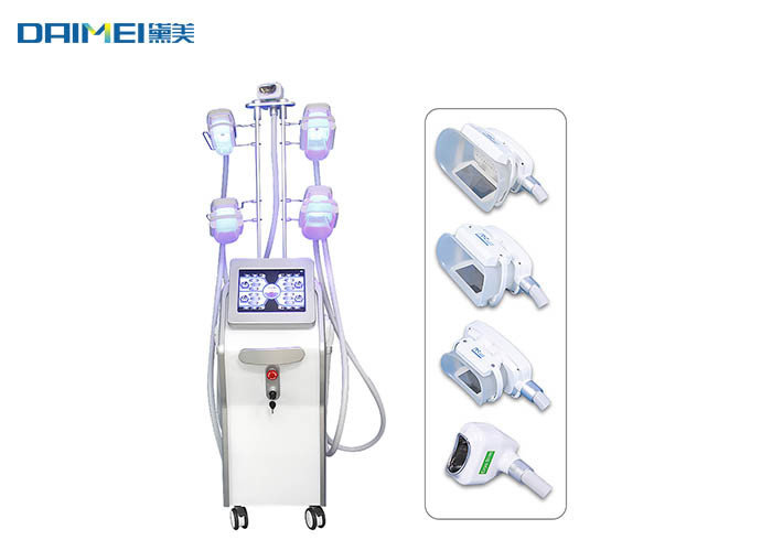 4 Handles Cryo Cryolipolysis Therapy Cool Tech Fat Freezing Machine supplier