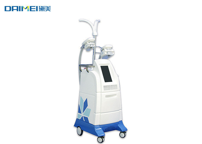 Cavitation Rf Slimming Machine Fat Freeze System Coolsculpting Body Shap Cryolipolysis supplier