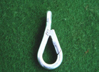 SECURITY SNAP HOOK