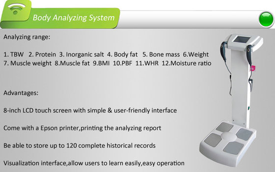 Vertical Beauty Salon Use Body Composition Analysis Machine For Fat Measurement