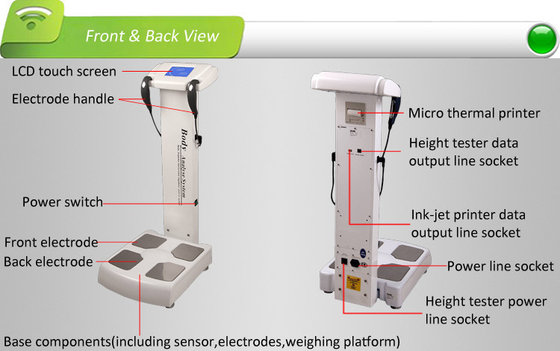 Vertical Beauty Salon Use Body Composition Analysis Machine For Fat Measurement