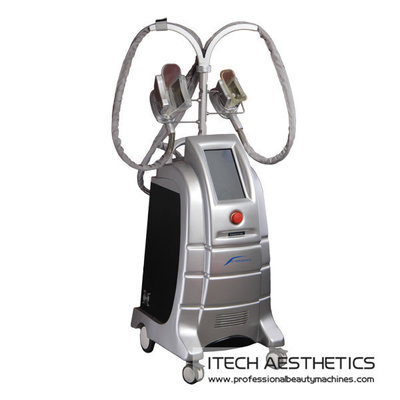 Vertical Cryolipolysis Slimming Machine 4 Handles For Body Shaping / Fat Removal