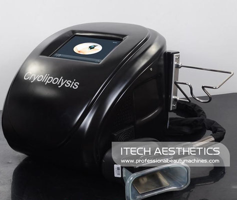 Pain Free Fat Freezing Cryolipolysis Slimming Machine with 3 Interchangeable Handles