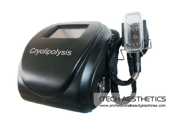 450W Beauty Salon Vacuum Cryolipolysis Slimming Machine For Fat Dissolving