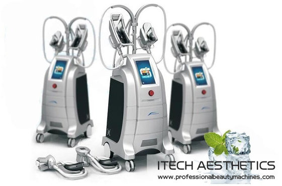 Non Invasive Cryolipolysis Slimming Machine Weight Loss Equipment With 4 Handles